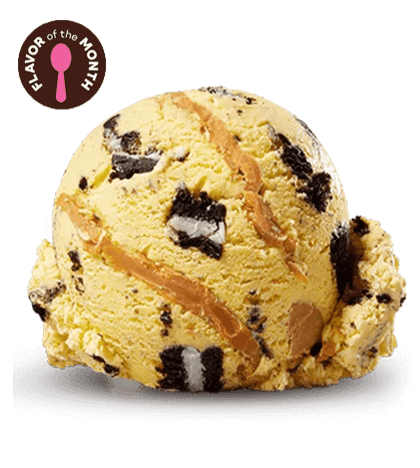 Find A Flavor | Ice Cream Flavors | Baskin-Robbins